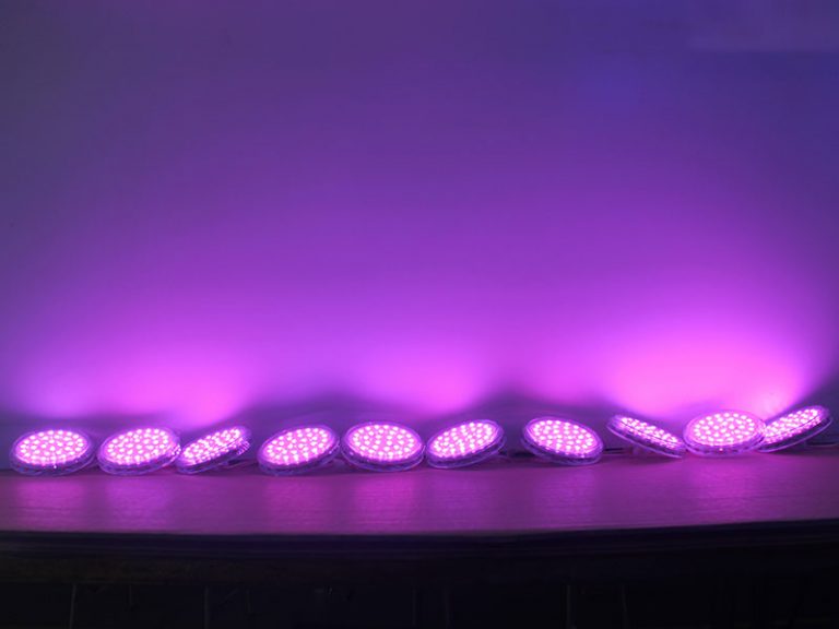 How much do you know about led flood lights?